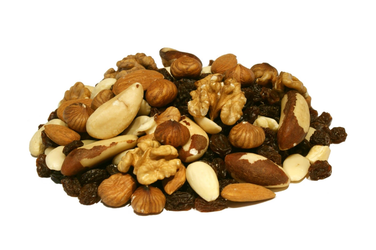 BIO Studenten-Futter kaufen