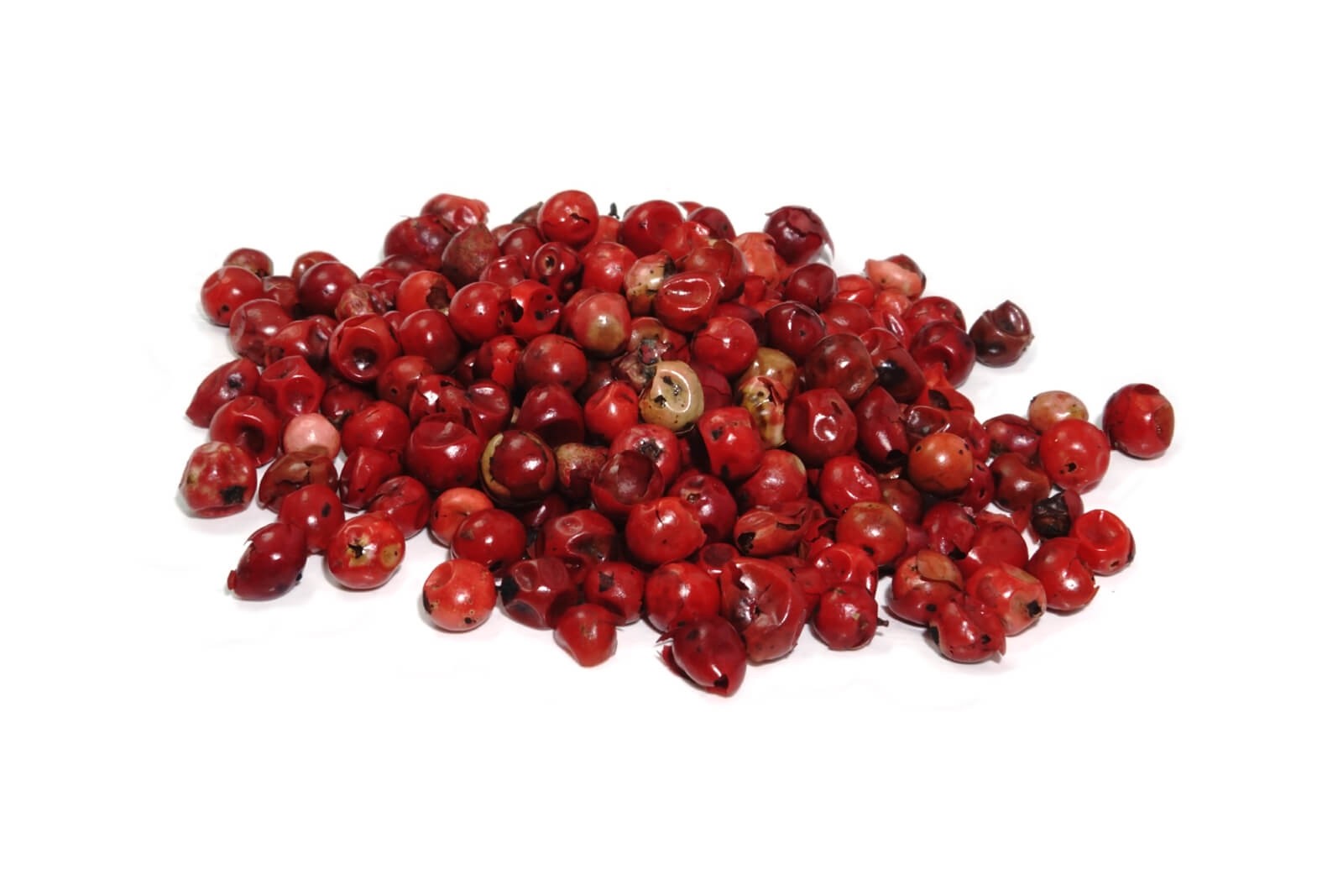 Rosa Pfeffer, ganz Schinus kaufen | Maracus.com